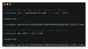 Polyaxon v1.16: CLI Operation shell & inspection